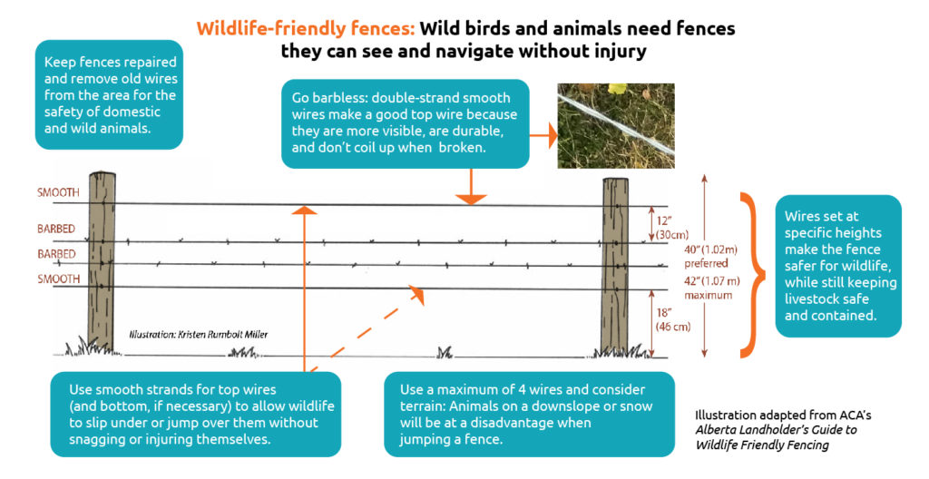 “Do Fence Me In!” Fencing with Water and Wildlife in Mind | Vermilion ...