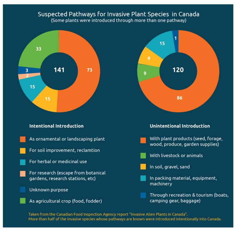 Invasive vs. Native Plants: Knowing & Growing Your Riparian Area ...